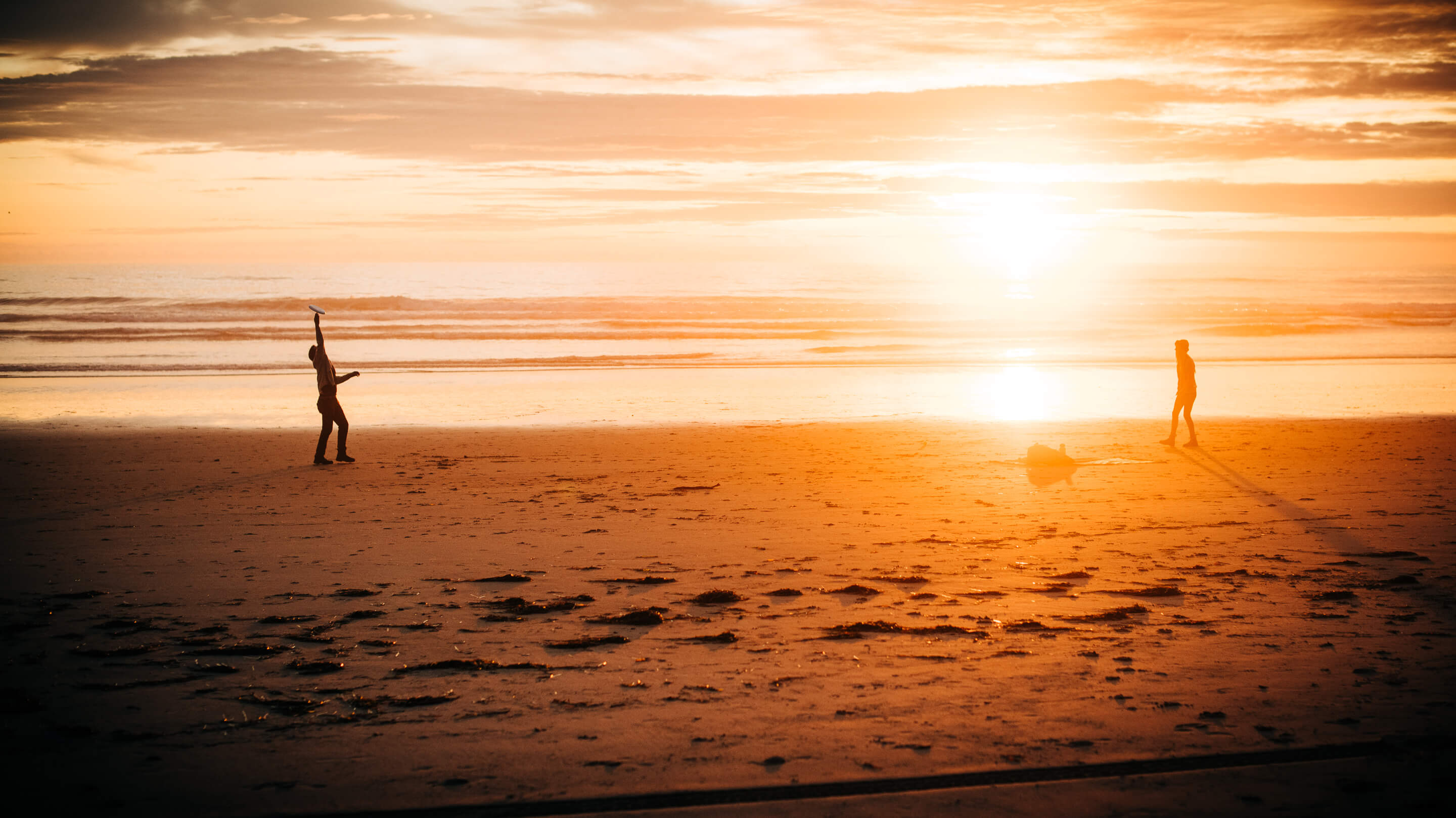 Gift Cards | Arcade Belts