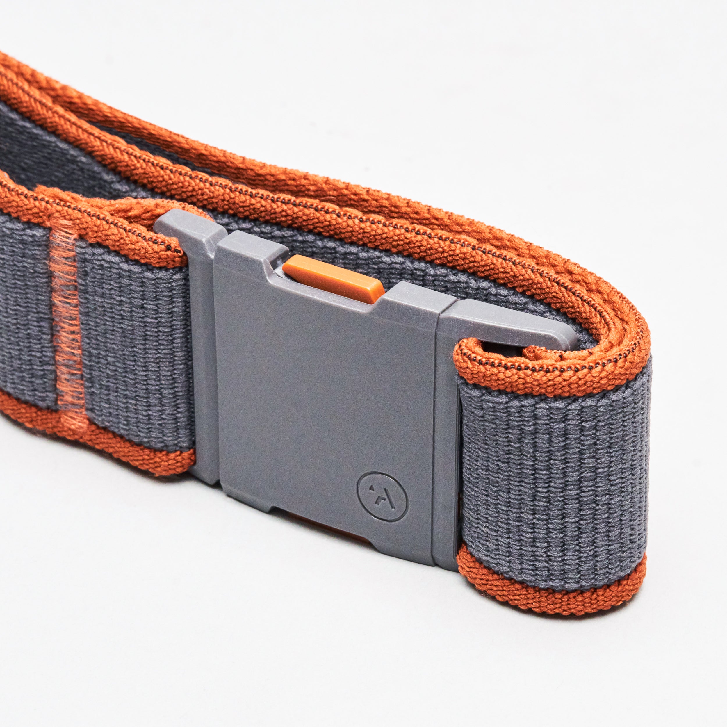 Carto | Elastic Webbing Belt | Arcade Belt Co. – Arcade Belts